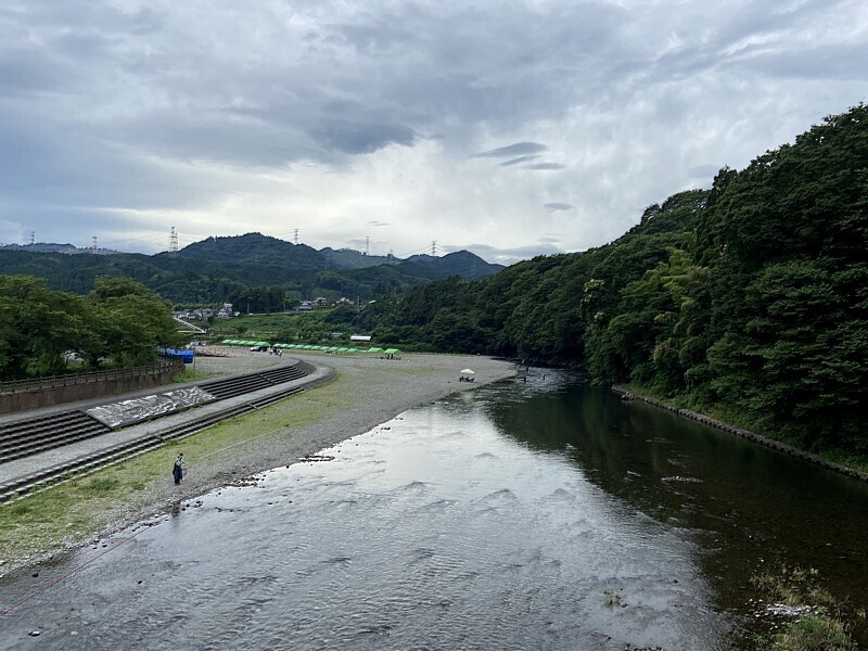ヤマユリも咲き始めました: 五日市最新情報