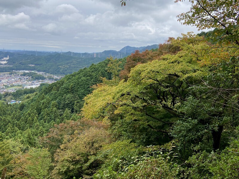 紅葉の色づき始めた10月下旬の金毘羅山: 五日市最新情報